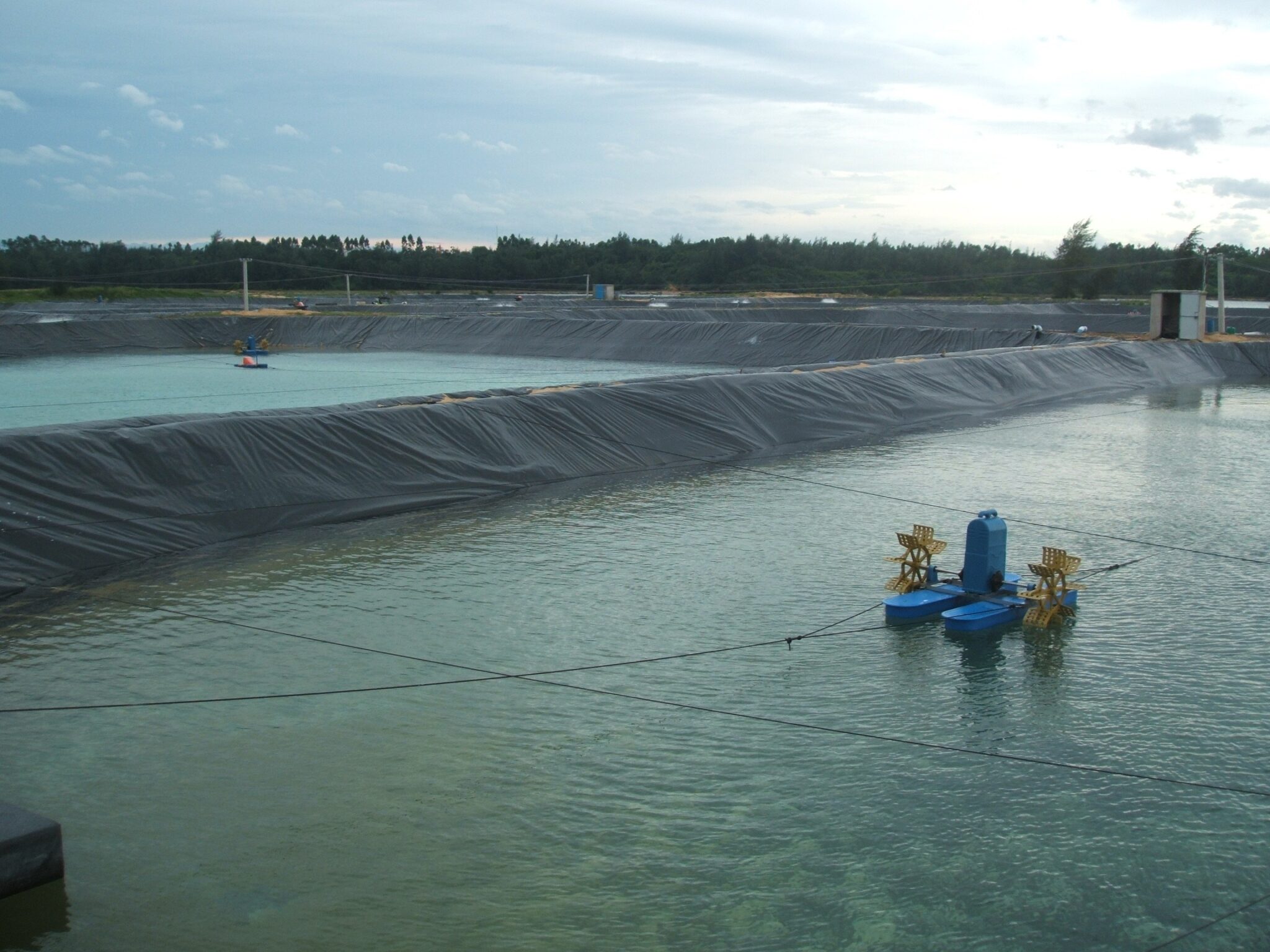 HDPE Pond Liner: Benefits, Thickness and Installation Guide - Tinhy ...